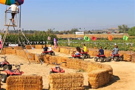 Live Oak Canyon Pumpkin Patch In Yucaipa California Through My Lens