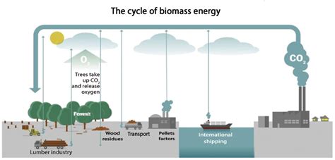 Biomass Energy About Significance Advantages And More