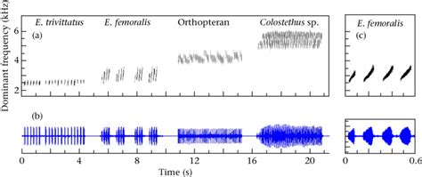 A Sound Spectrogram And B Oscillogram Of The Principal Auditory
