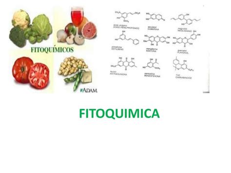 Cápsulas De Gelatina Dura Para Formas Farmacéuticas Orales Pptx
