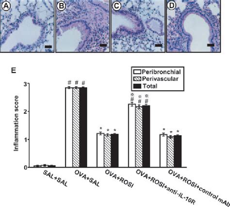 Diff Quik Stain Method Procedure Semantic Scholar