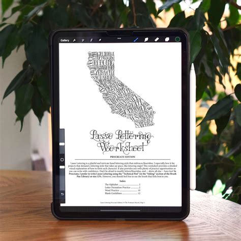 Procreate Lasso Tool At Jacqueline Arnold Blog