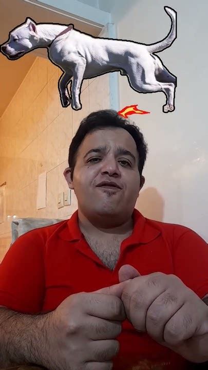 داگو آرژانتینیو👍 Youtube