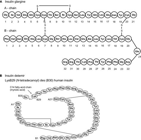 What Is Columnar Insulin At Gladys Zachery Blog