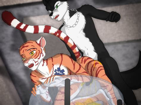 Rule 34 Anthro Bodily Fluids Canid Canine Chazwolf Duo Felid Genital