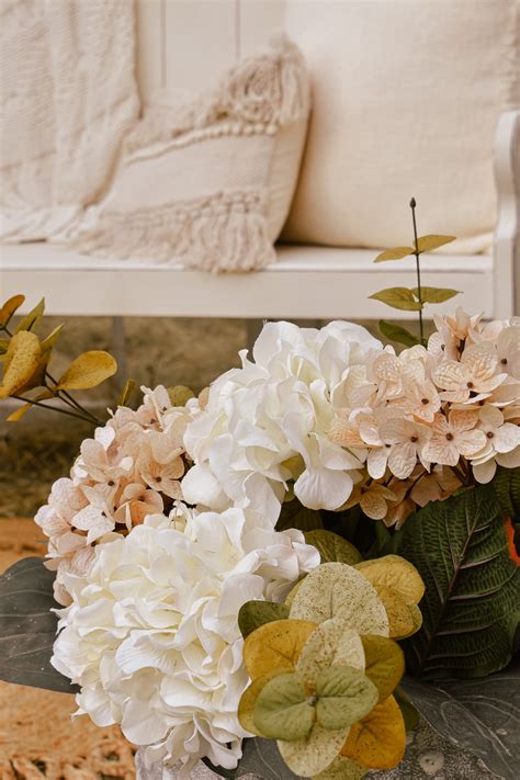 Sassy Snaps Photography Added A Sassy Snaps Photography