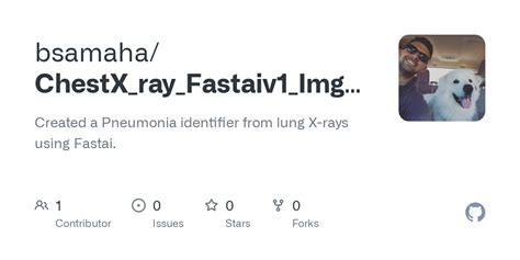 Github Bsamahachestxrayfastaiv1imgclassifier Created A Pneumonia Identifier From Lung X