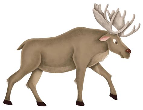 Clipart Elch Bilder Kostenloser Download Auf Freepik
