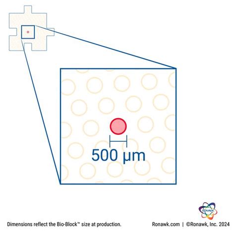 The Microstructure Of A Bio Block Aj Mellott