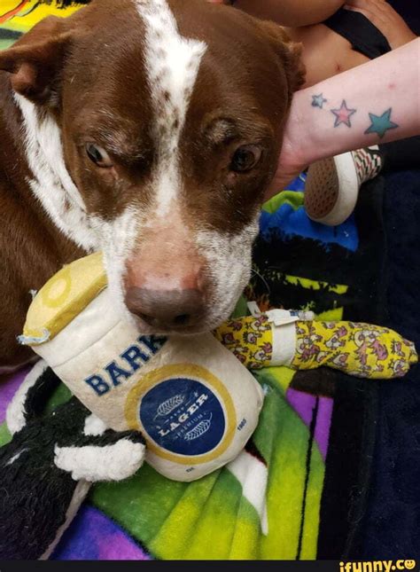 Bladder Memes Best Collection Of Funny Bladder Pictures On Ifunny