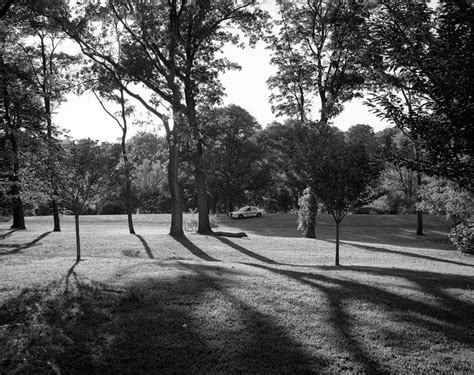 Nicholas Pollack Aint—bad