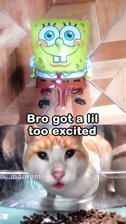 Spongebob Getting Freaky 😈 Youtube