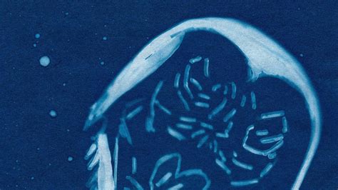 Nüüdberlin Gallery Daniela Finke A Present From The Past • Pib — Photography In Berlin