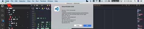 on macos catalina when in full screen mode the traffic light button