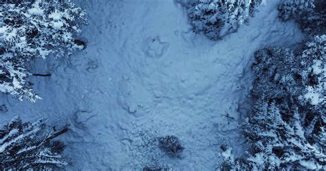 Frozen Overlay Stock Video Footage For Free Download