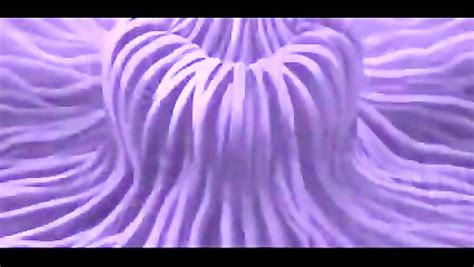 ماجراجویی ‌دیجیمون ‌قسمت‌۶۷