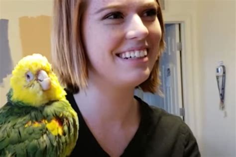 Woman Travels Across Country Only To Adopt A Deformed Parrot