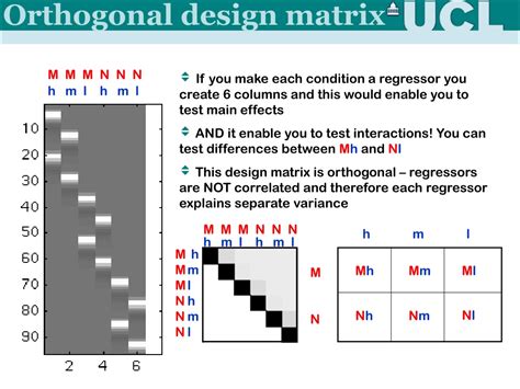 Ppt 1 St Level Analysis Design Matrix Contrasts And Inference Rebecca Knight And Lorelei