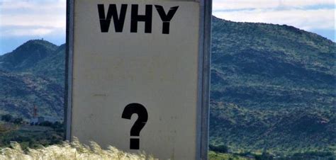 Why Do We Need Blockchain This Is What You Should Expect In The Future