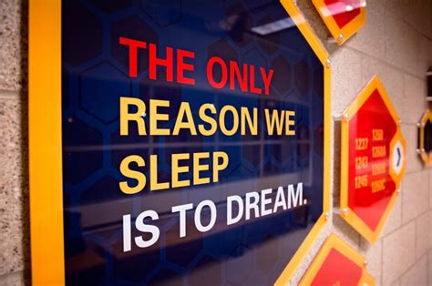 The Hive Case Study Celsius Marketing Interactive