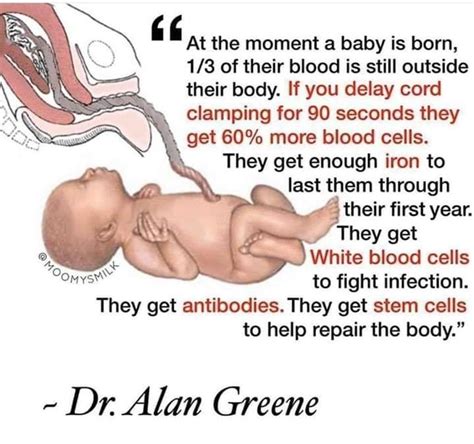 Ne Momentin Kur Lind Femija 1 3 E Mesimet E Dioles Facebook