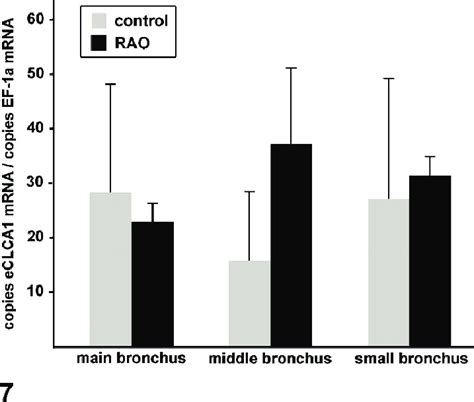 quantification of eclca1 mrna copy numbers per mrna copy numbers of the