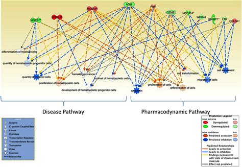 Network Analysis Ingenuity Pathway Analysis Tool Was Utilized To