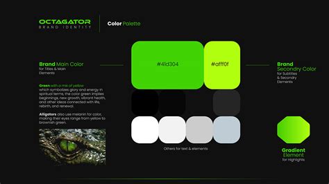 Octagator Visual Identity And Guidelines Behance