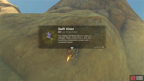 Swift Violet The Legend Of Zelda Tears Of The Kingdom Database