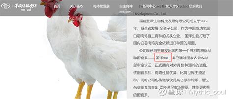 鸡育种的扫盲调研 全球主流白羽肉鸡品种多是由白洛克鸡和科尼什鸡杂交选育而来，其中母系白洛克鸡最早由美国爱拔益加公司在 1940 年培育出来 雪球