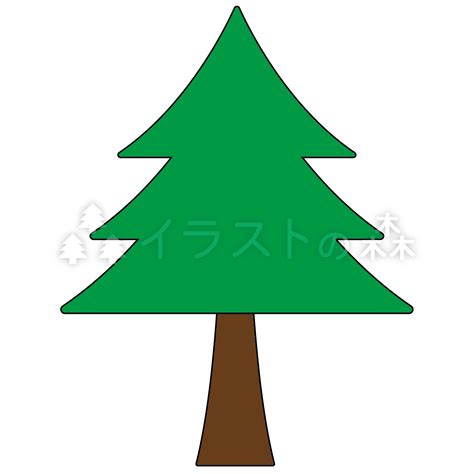 木（針葉樹） 無料イラスト素材•商用可いらもり