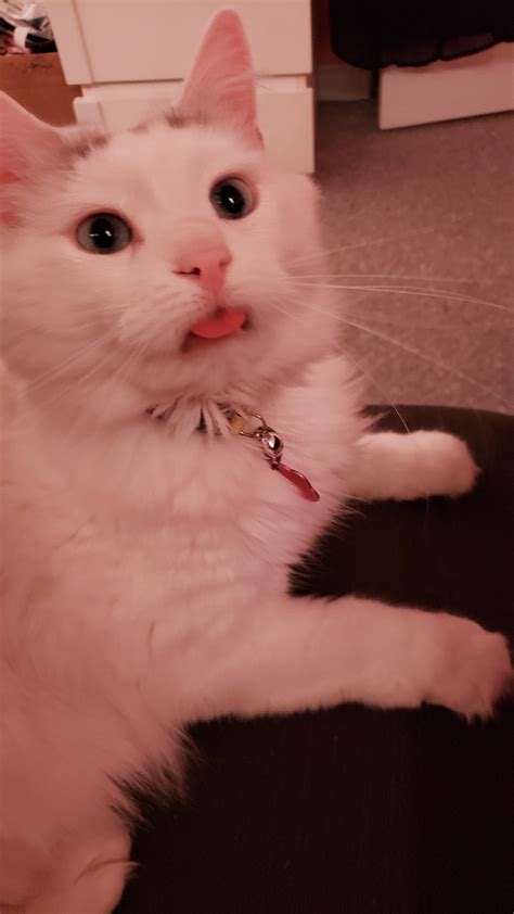 Hyper Blep Rblep
