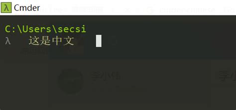 Problem With Displaying Chinese Characters · Issue 1363 · Cmderdev