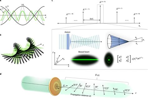 The Concept Of Longitudinally Variable Polarization Elements A