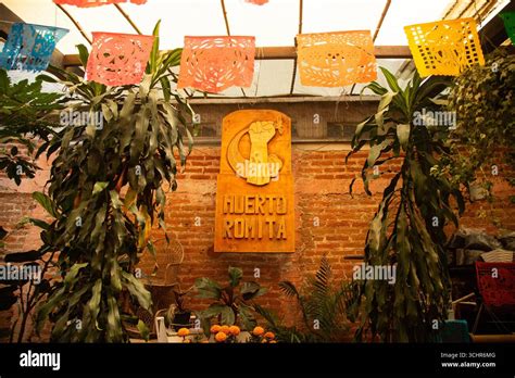 Mexico City Mexico November 1 2025 Colonia La Romita Neighborhood