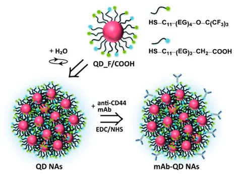 Nanomaterials Special Issue Self Assembled Nanoparticles Synthesis