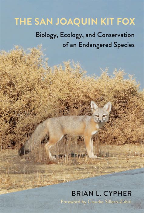 The San Joaquin Kit Fox Biology Ecology And Conservation Of An