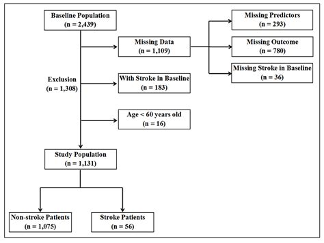 Stroke Prediction With Machine Learning Methods Among Older Chinese