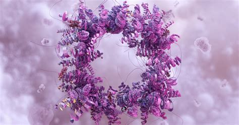 Tailored Protein Solutions For Next Generation Discovery Evotec