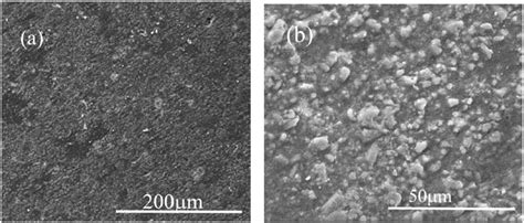 Microstructure Of The Composites Using 001 Mm Polymer Particles Sem