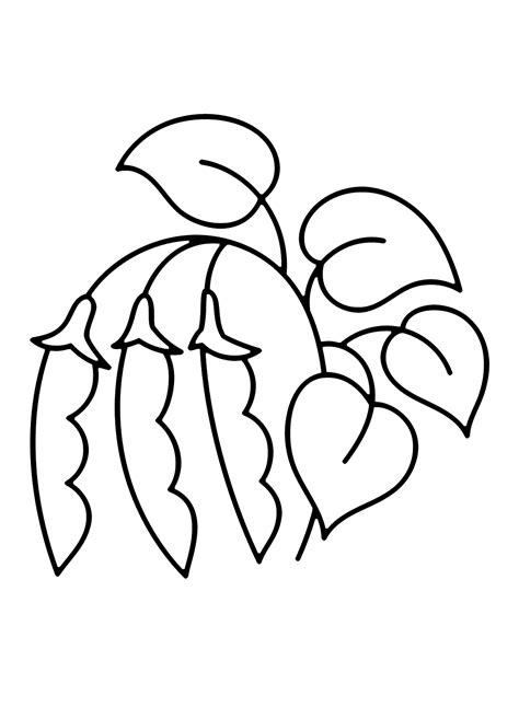 Beans Coloring Pages
