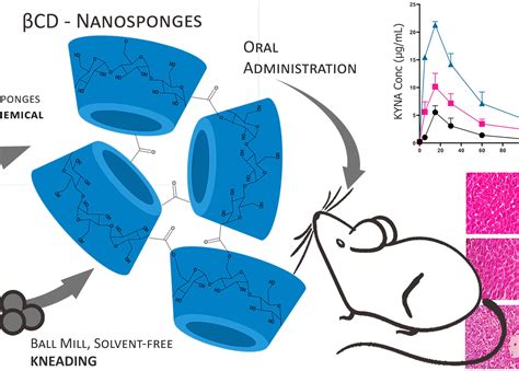 Solvent Free Cyclodextrin Nanosponges