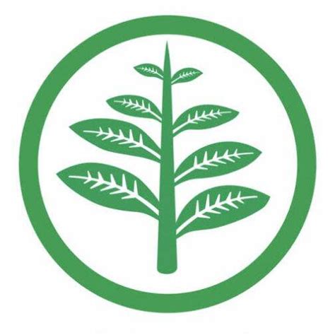 Shop Online With Bugarinbugarin Now Visit Bugarinbugarin On Lazada