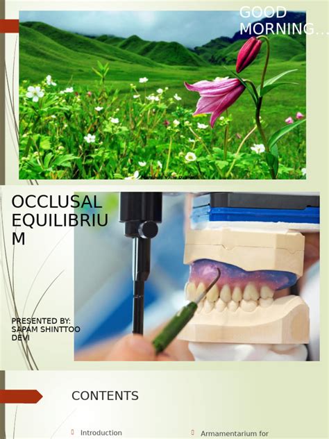 Occlusal Equilibration Pdf Mouth Dentistry Branches