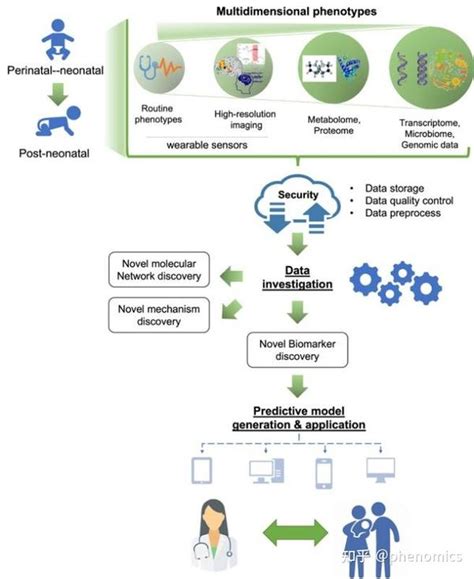 Phenomics 综述：高分辨率、多维的表型数据补充基因组数据，助力新生儿疾病诊断 知乎