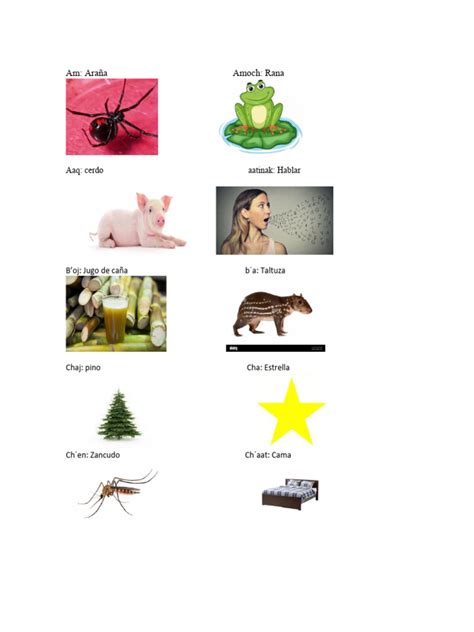 Vocabulario Básico En Qeqchi Pdf