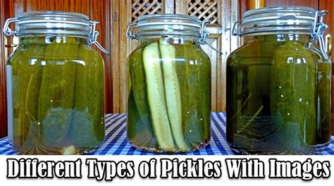 Pickle Meaning And Definition At Donald Stoltenberg Blog