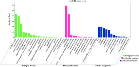 Level 2 Gene Ontology Go Terms For All Putative Candidate Genes From