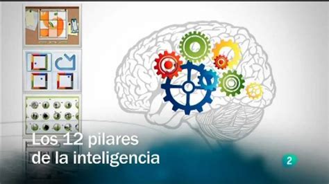 Crítica A Los 12 Pilares De La Inteligencia Propuestos Por Adrian Owen