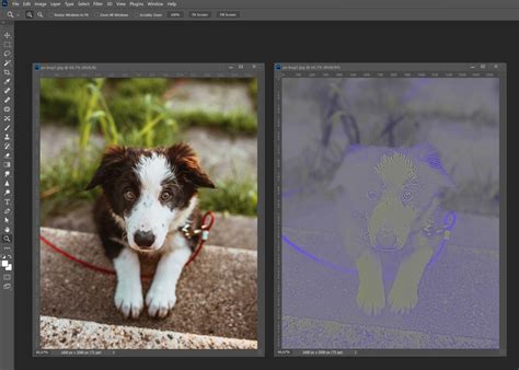  Images Look Corrupted When Opened In Photoshop Adobe Product